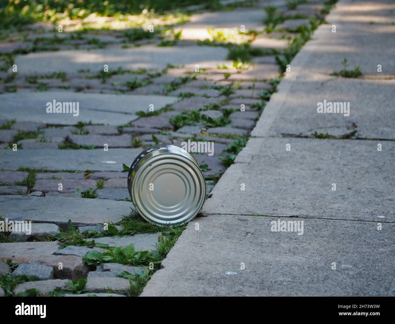Empty tin can on the ground Stock Photo - Alamy