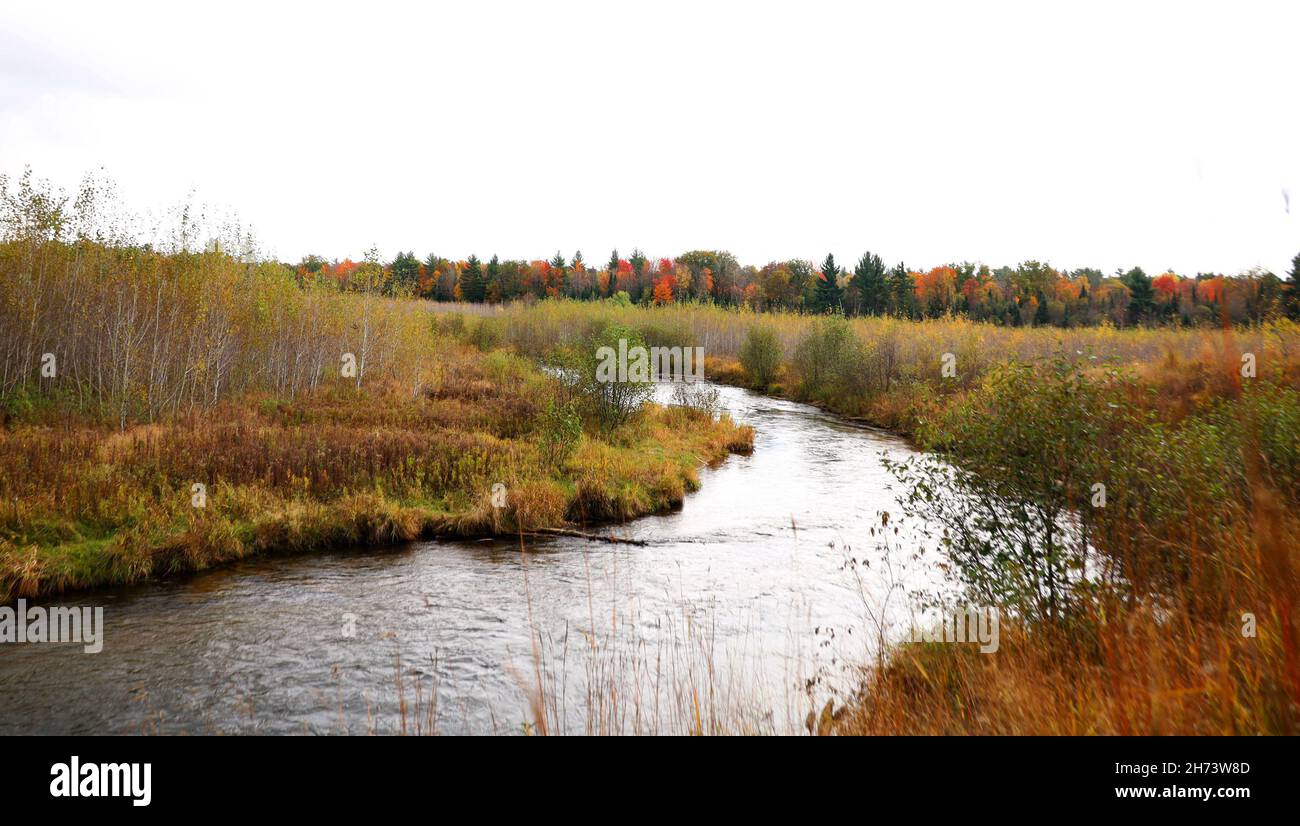 Body curving hi-res stock photography and images - Alamy