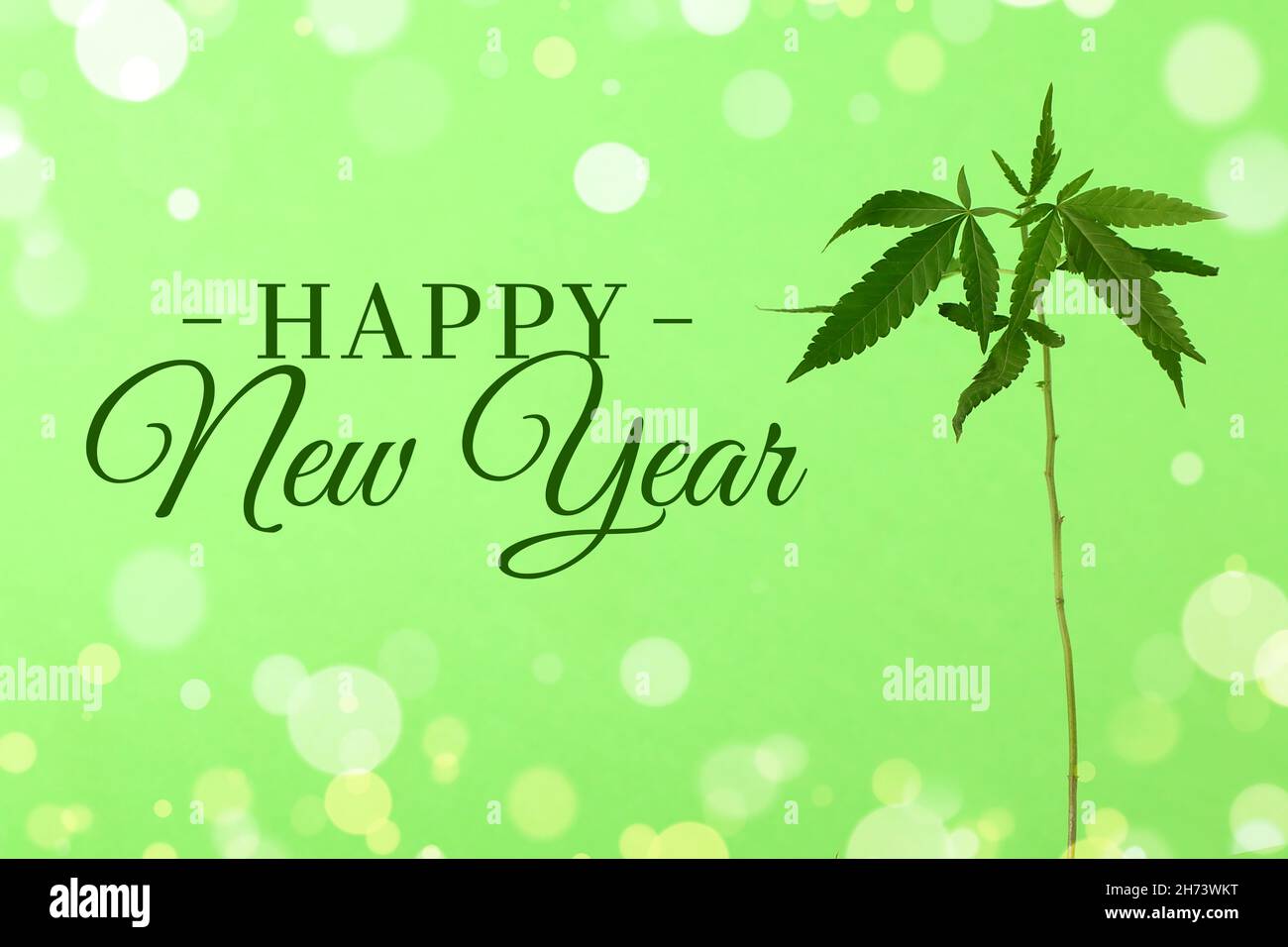 Hemp Party High Resolution Stock Photography and Images - Alamy