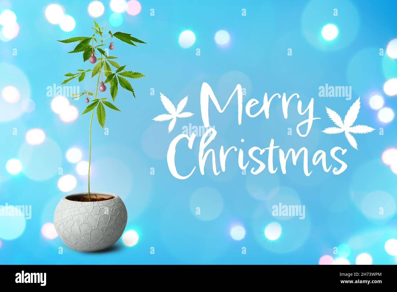 Hemp Party High Resolution Stock Photography and Images - Alamy