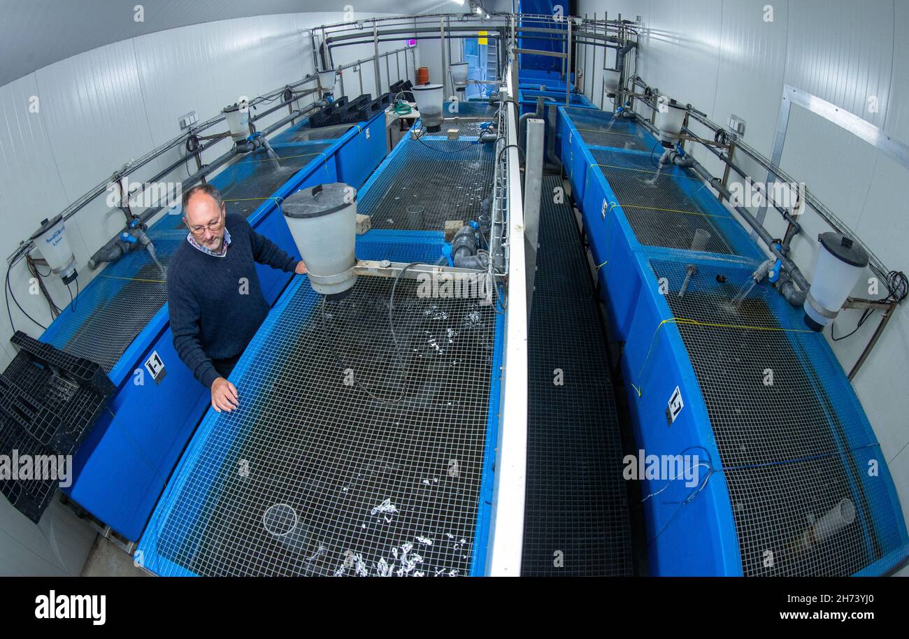 18 October 2021, Mecklenburg-Western Pomerania, Rostock: Harry Palm ...