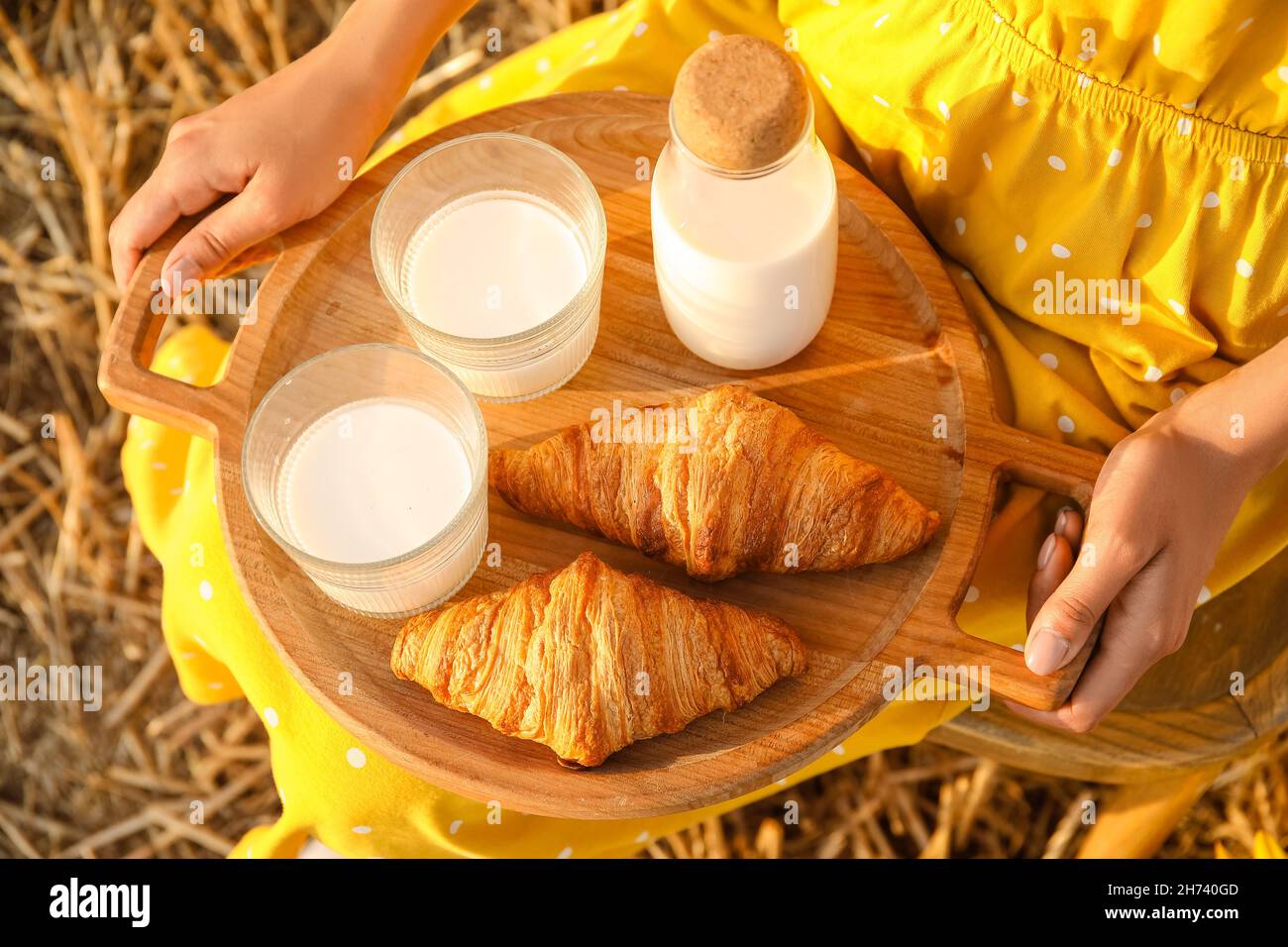 Woman holding tray with milk and croissants in harvested field, top ...