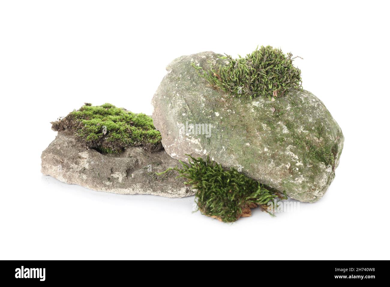 Green moss with rocks isolated on white background Stock Photo - Alamy