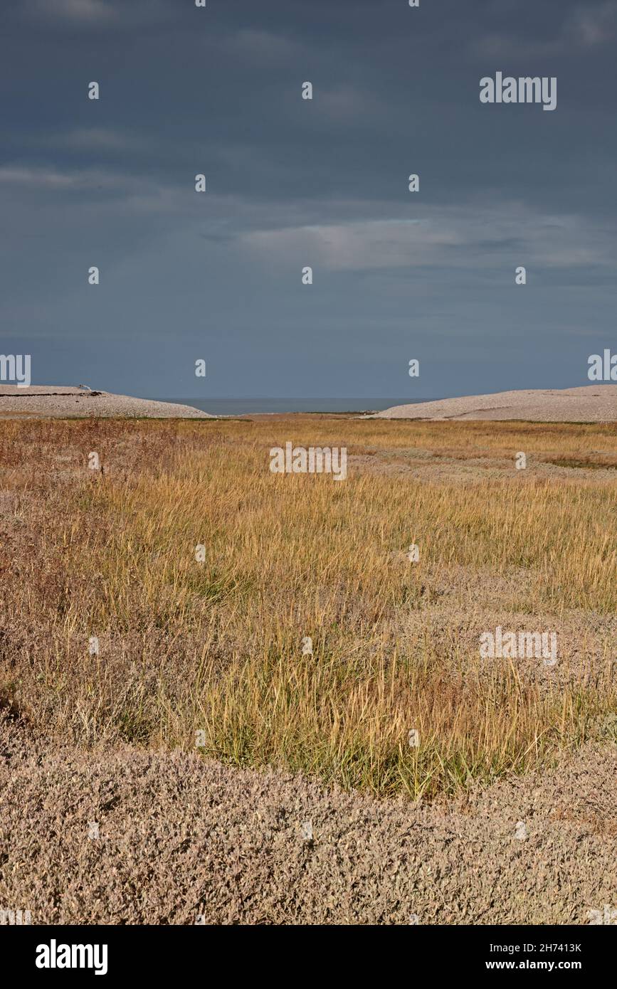 View of Porlock Marsh Somerset UK Stock Photo - Alamy