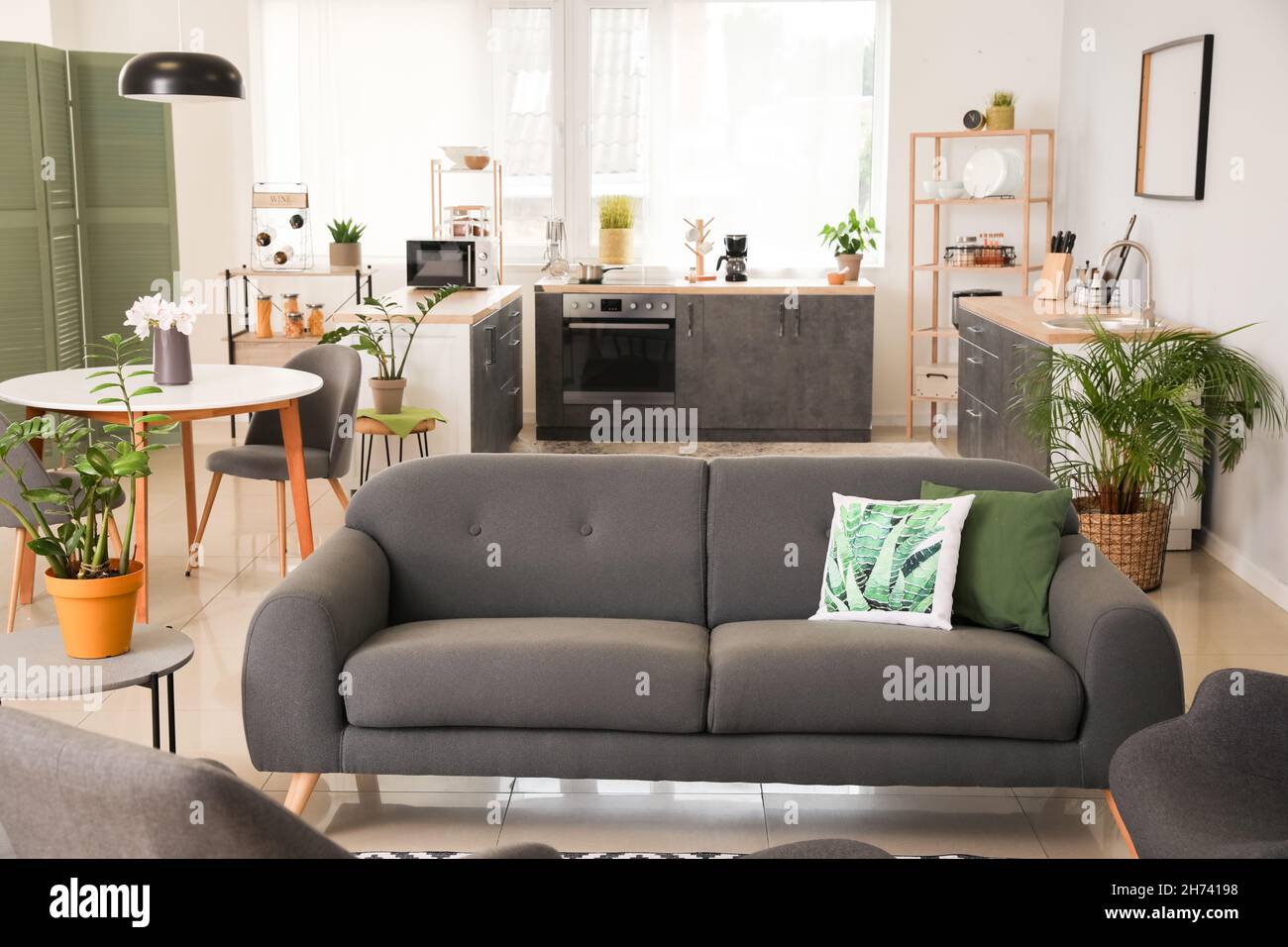Studio apartment with contemporary kitchen Stock Photo - Alamy