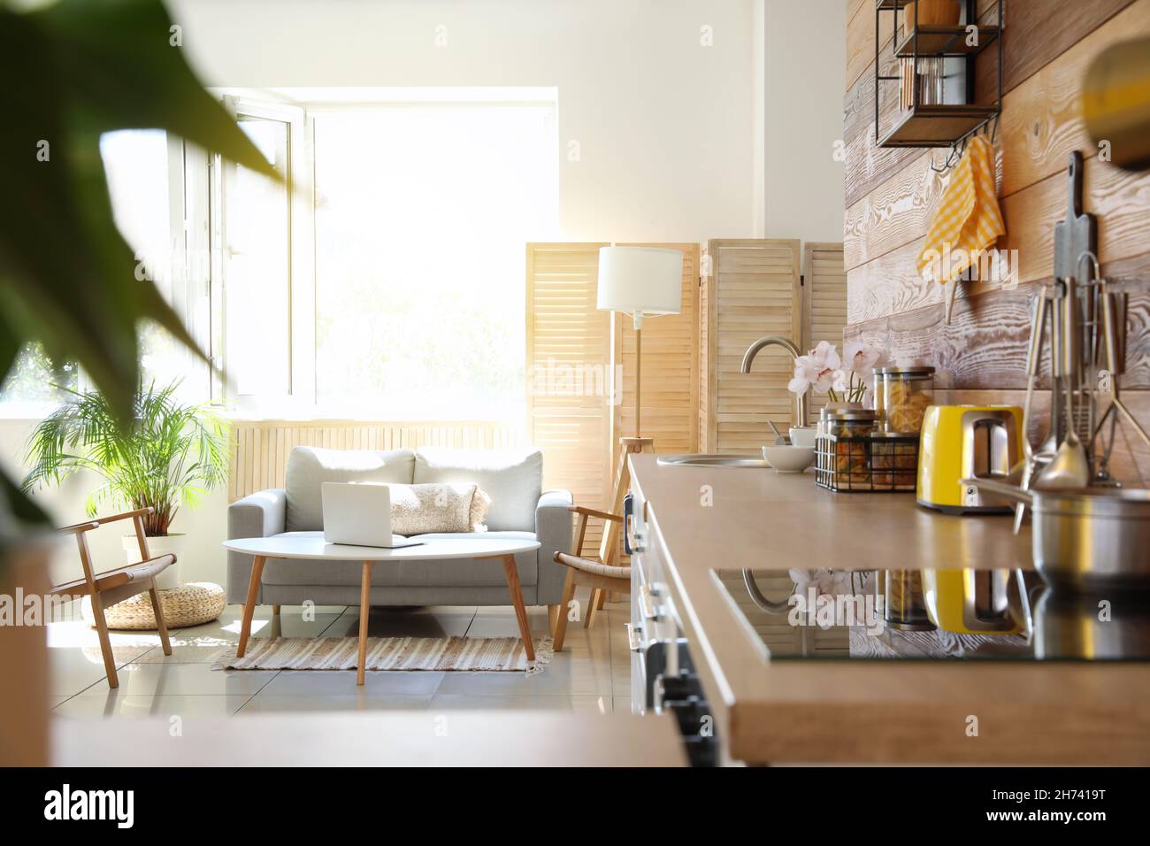 Studio apartment with contemporary kitchen Stock Photo - Alamy