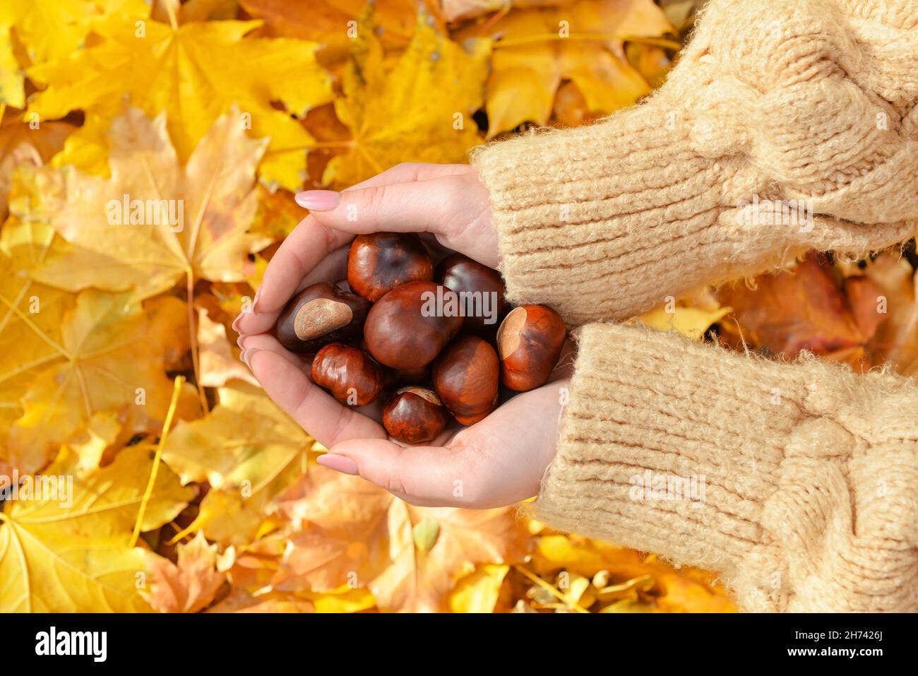Woman with heap of chestnuts outside Stock Photo - Alamy