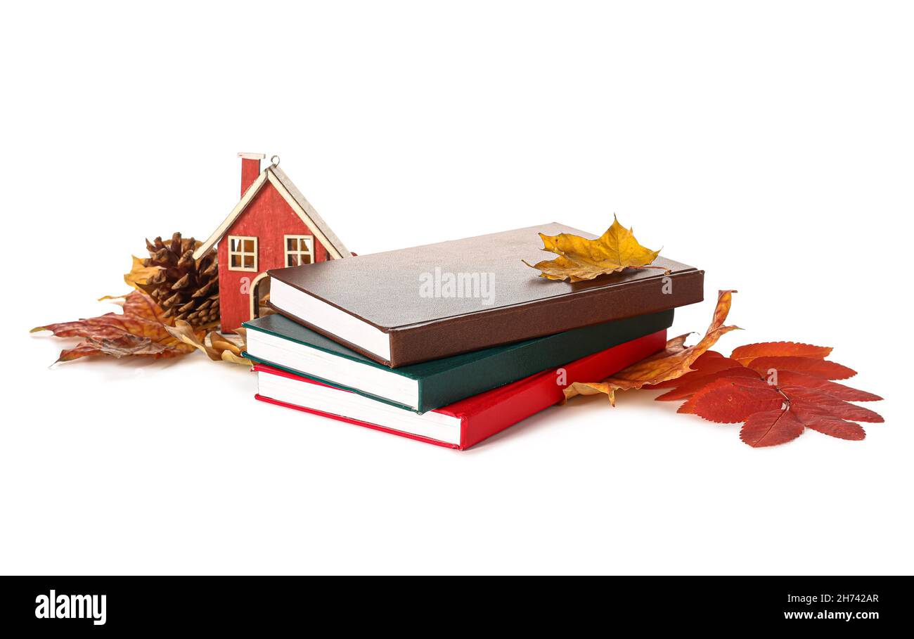 Stack of different books, wooden house and autumn decor on white ...