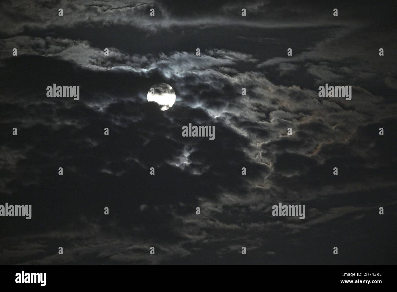 Kuwait City. 19th Nov, 2021. Photo taken on Nov. 19, 2021 shows the ...