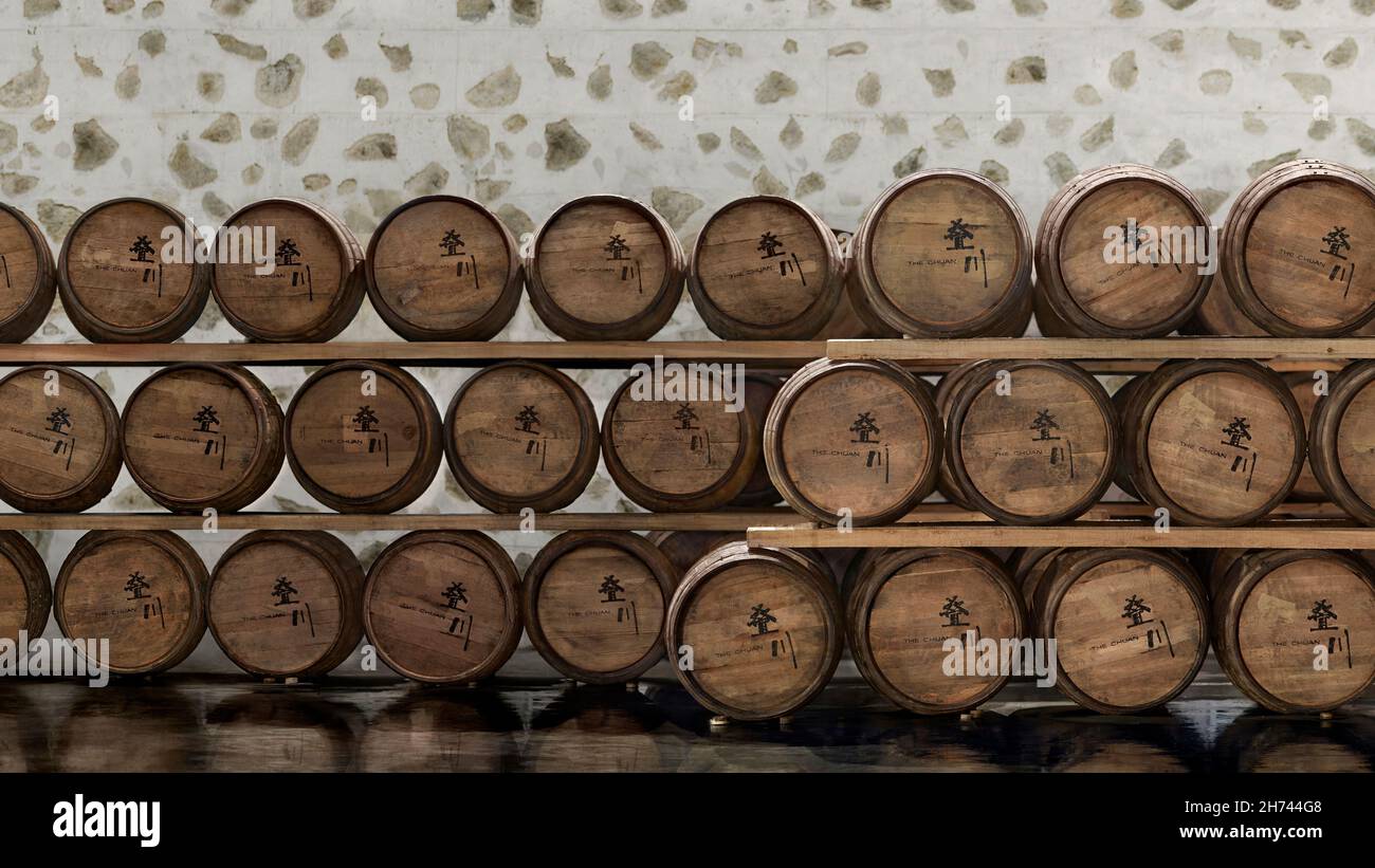 (211120) -- CHENGDU, Nov. 20, 2021 (Xinhua) -- Undated photo shows a ...