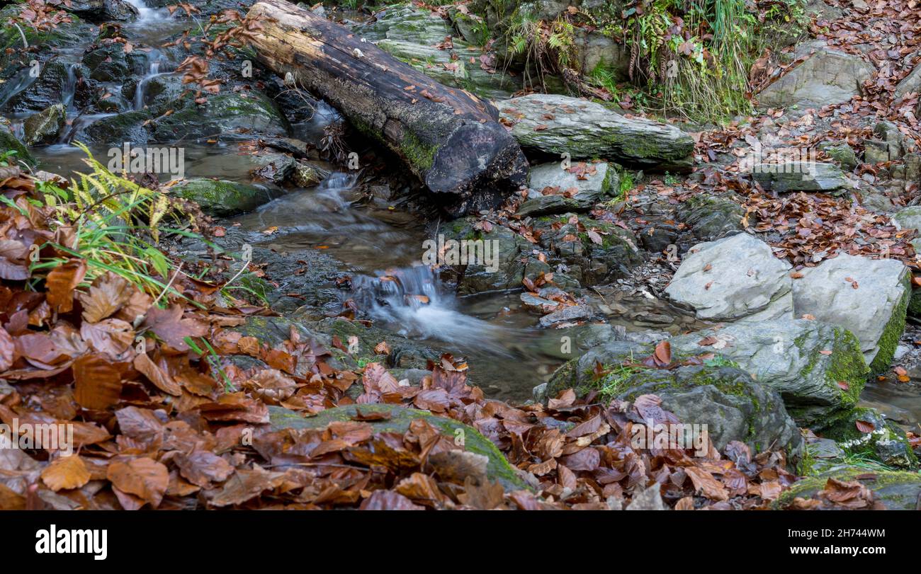 Time exposure of the little river called Helle in the german city ...