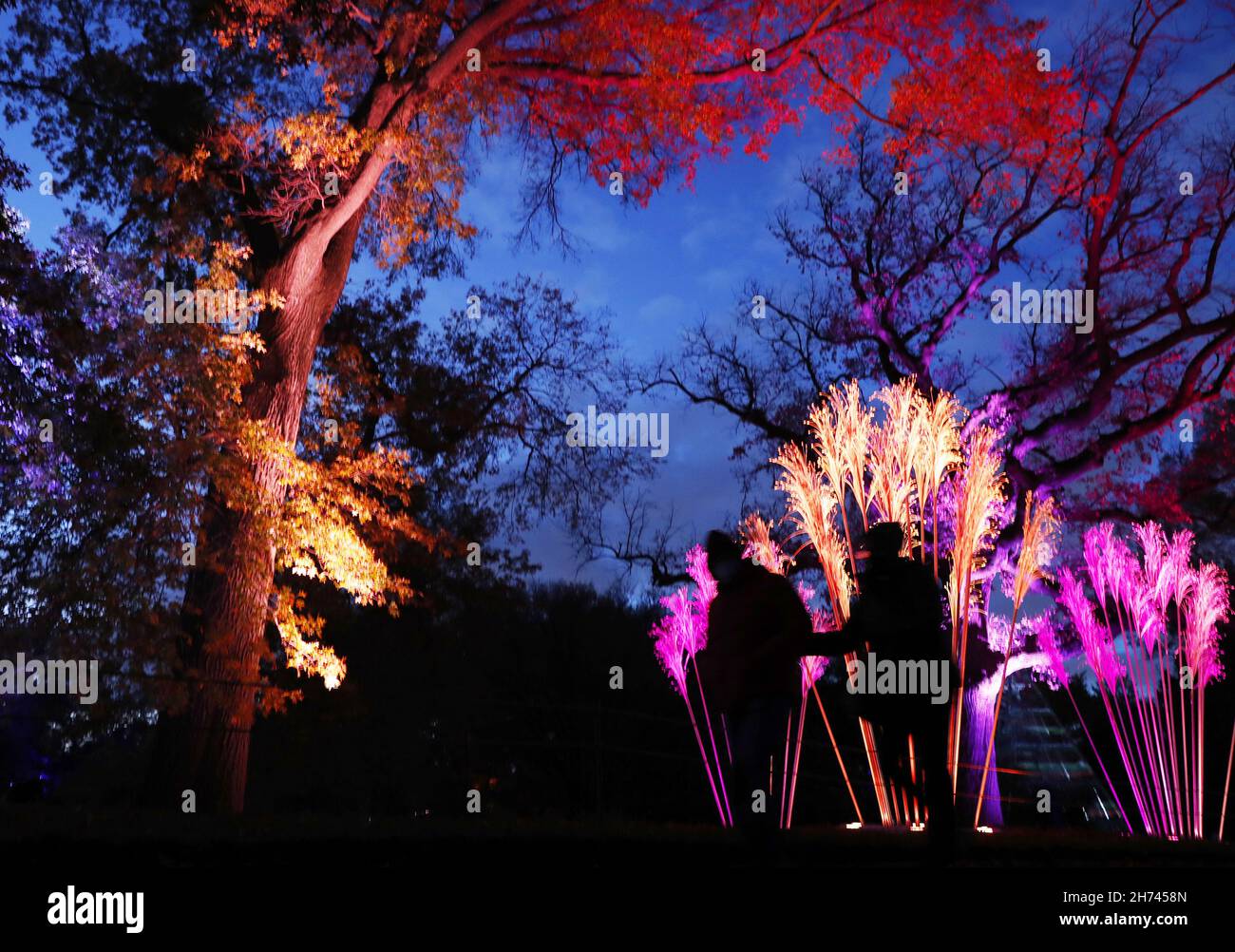 Brooklyn, USA. 20th Nov, 2021. Children and Adults tour the light ...