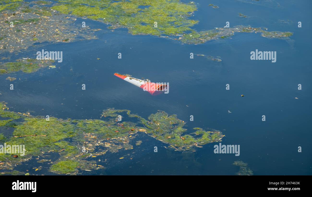 An orange traffic cone floating in a eutrophic river water after being ...