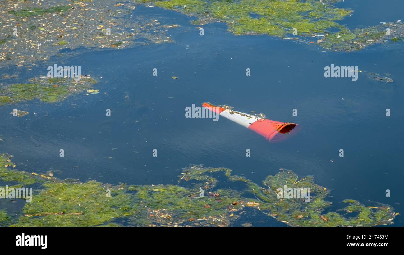 An orange traffic cone floating in a eutrophic river water after being ...