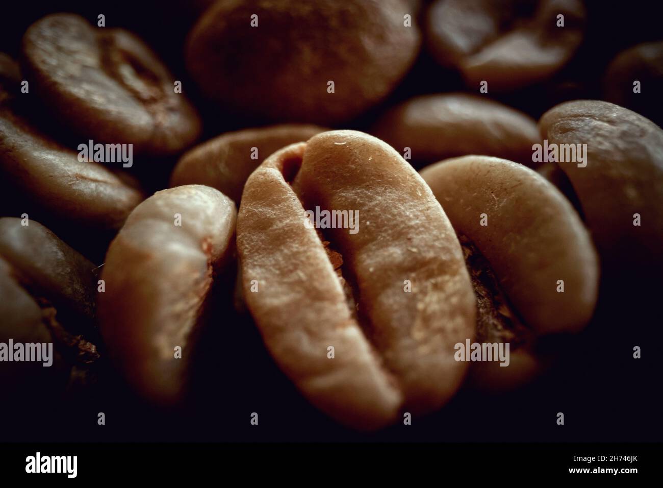Fragrant and aromatic roasted coffee beans. Coffee, beverage, producing ...