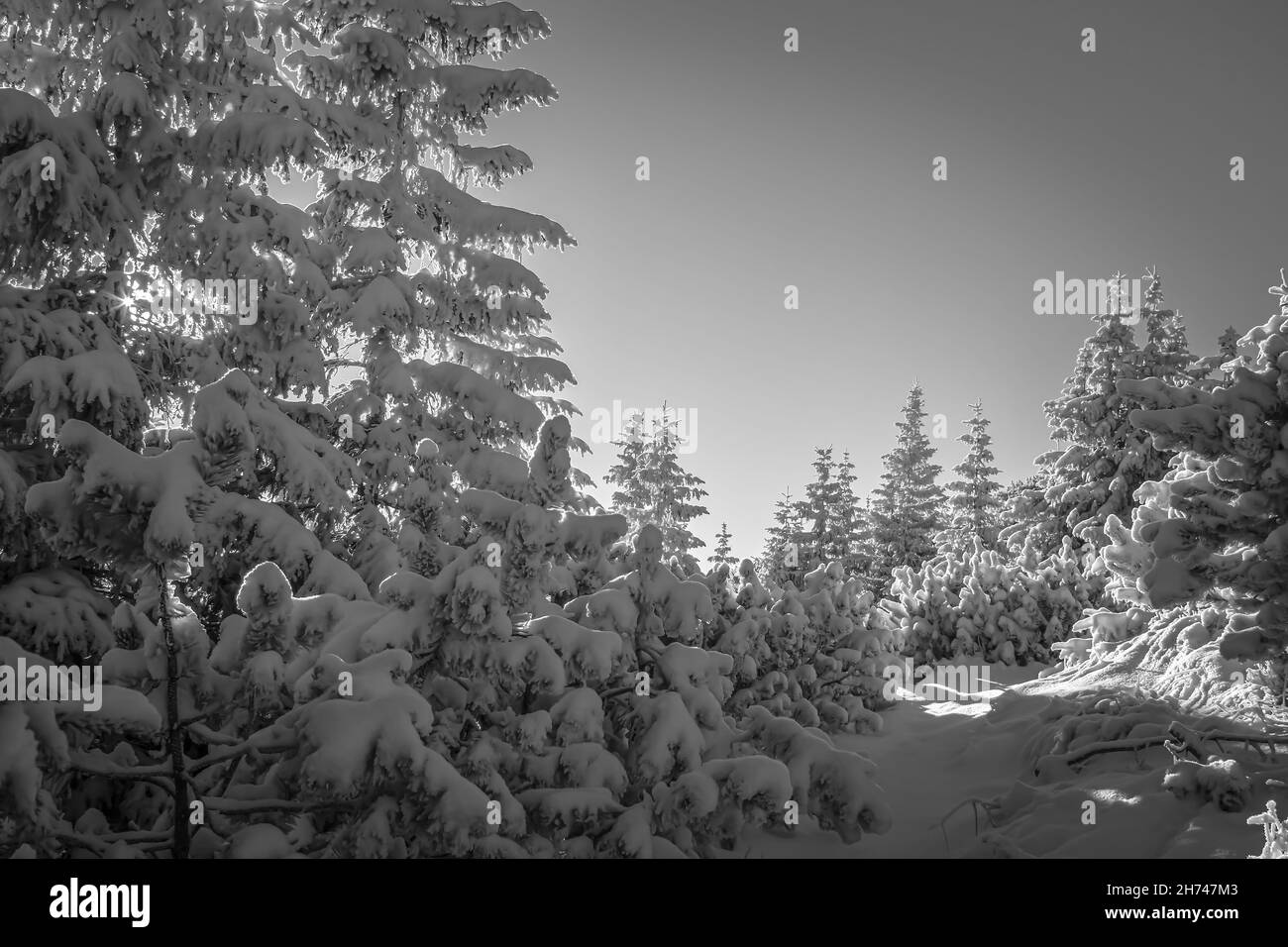 Snow capped weather Black and White Stock Photos & Images - Alamy