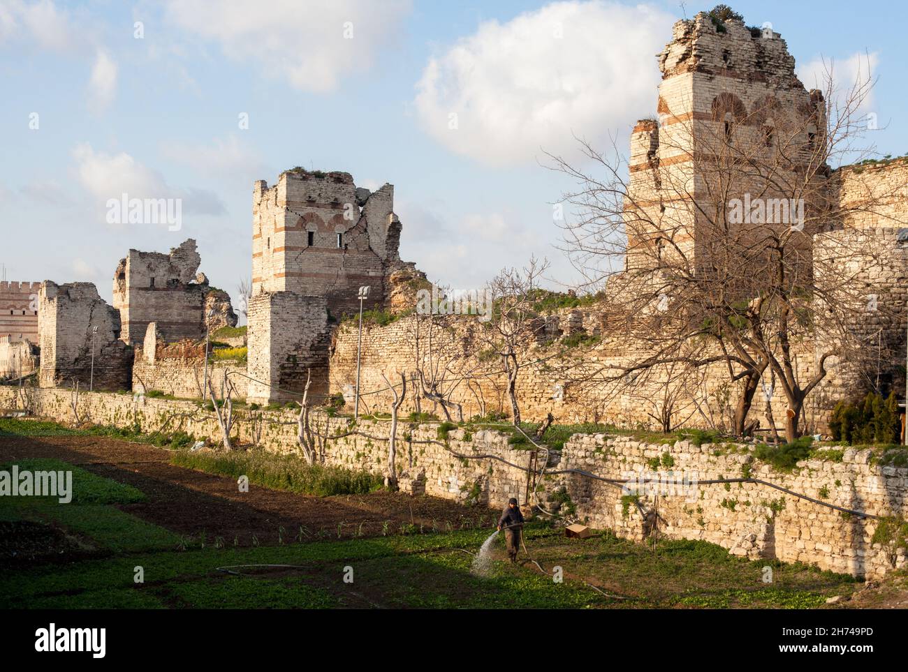 Historical Byzantine walls and a farmer working in the garden,Istanbul ...