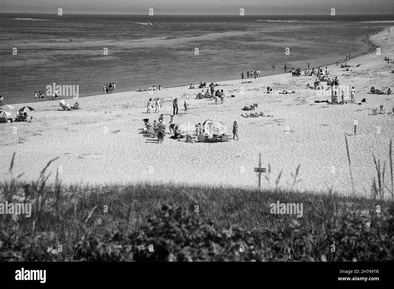 Fun in the sand always a plus Stock Photo - Alamy
