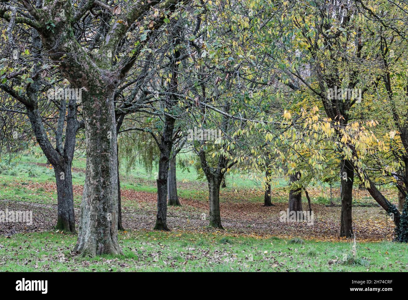 Devonport Park in Plymouth is often refered to as the Peoples Park ...