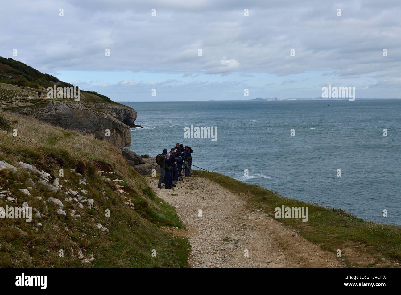 Coast Path Anvil Point Durlston Country Park Nr Swanage Dorset England ...