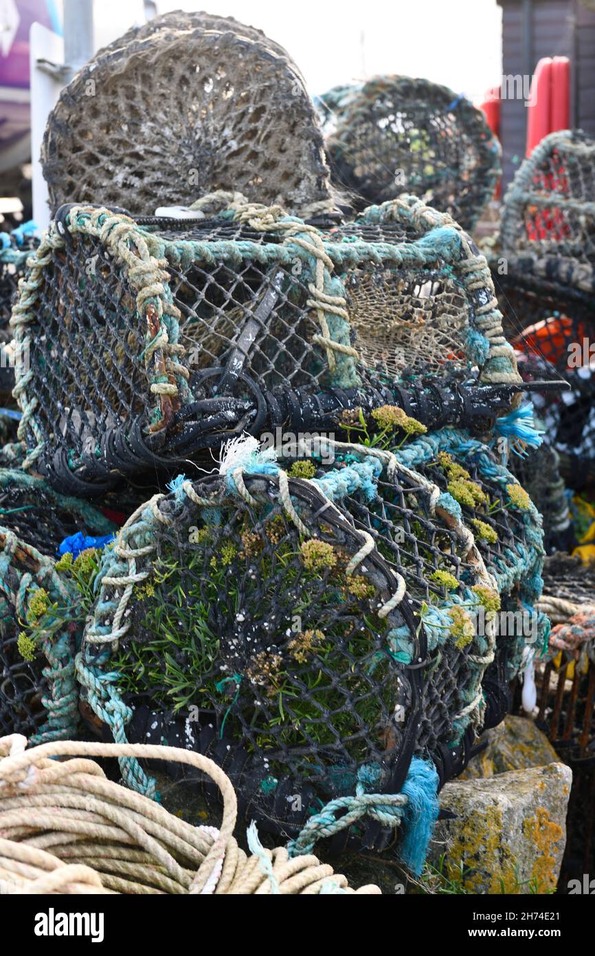 Lobster (Nephropidae) Pots Swanage Bay Dorset England uk Stock Photo ...