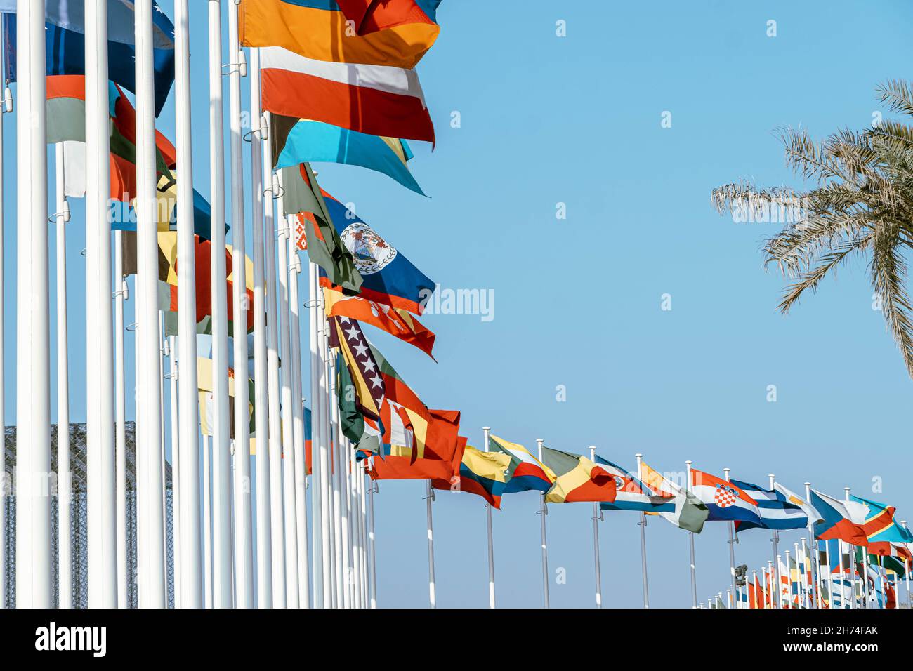 Many world flags flying in a row outside of expo center in 2020 waving ...