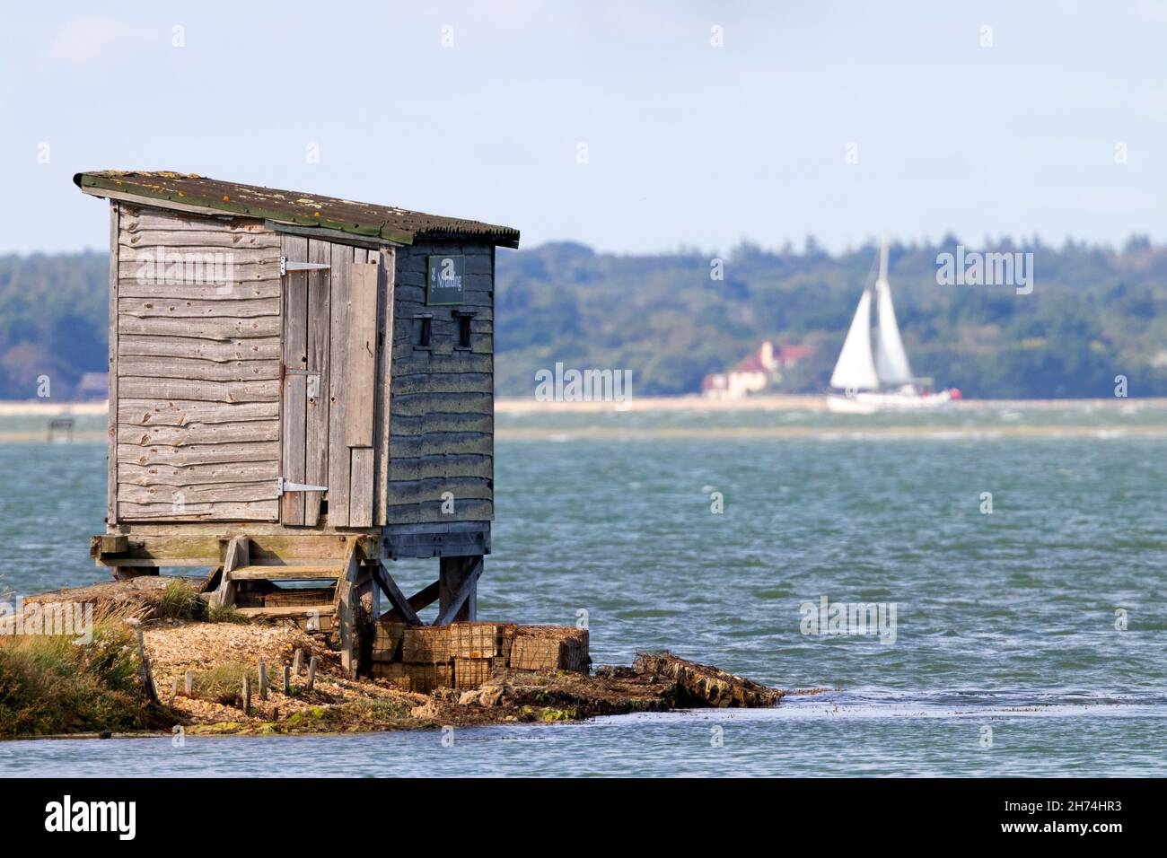 Twitch,twitching,bird,birding,hide,sea,estaury,The Solent,Newtown ...