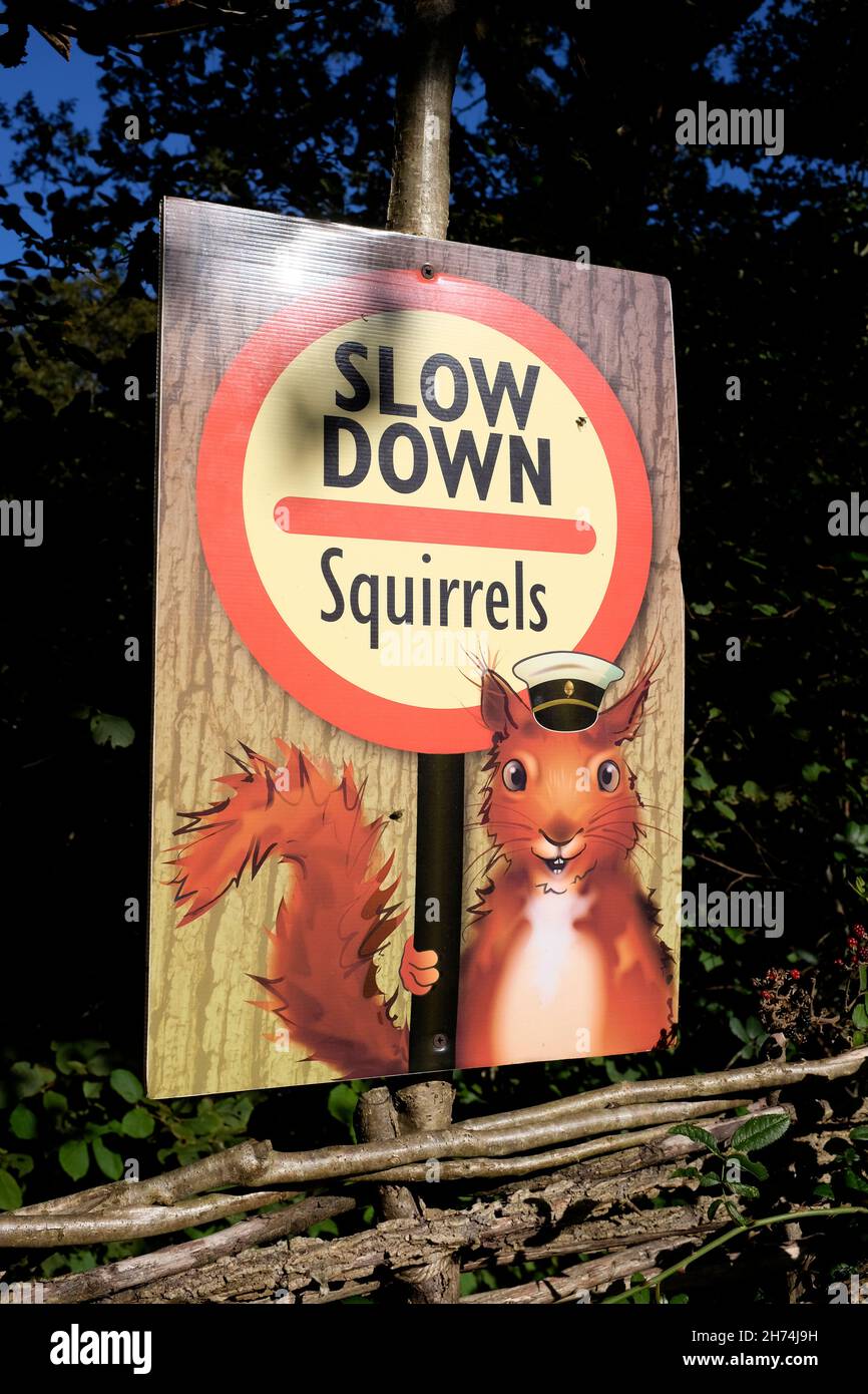 Red squirrel warning sign hi-res stock photography and images - Alamy