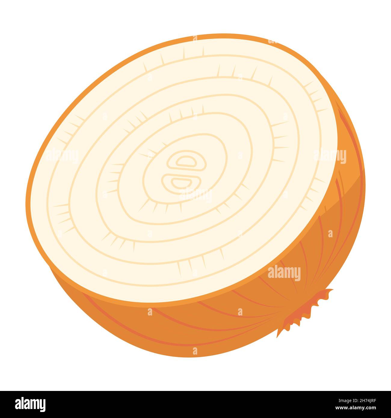 food vegetable sliced onion Stock Vector Image & Art - Alamy