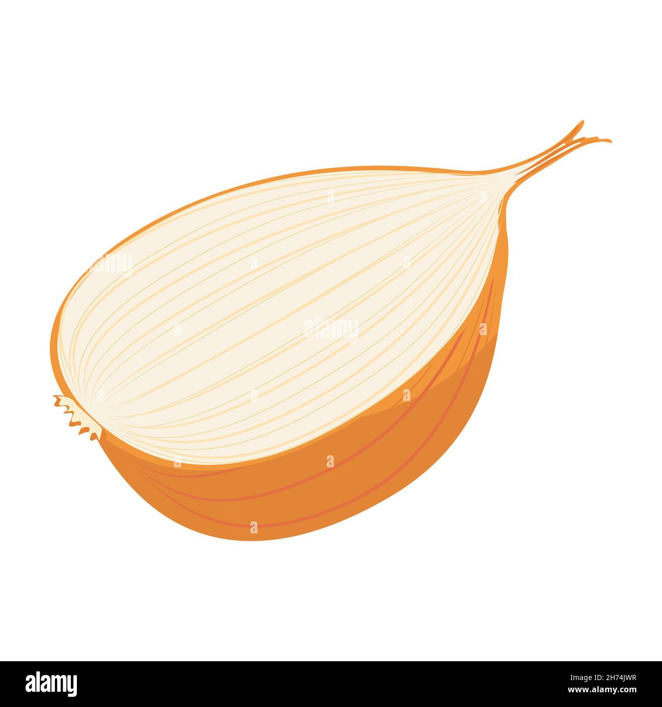 food vegetable sliced onion Stock Vector Image & Art - Alamy