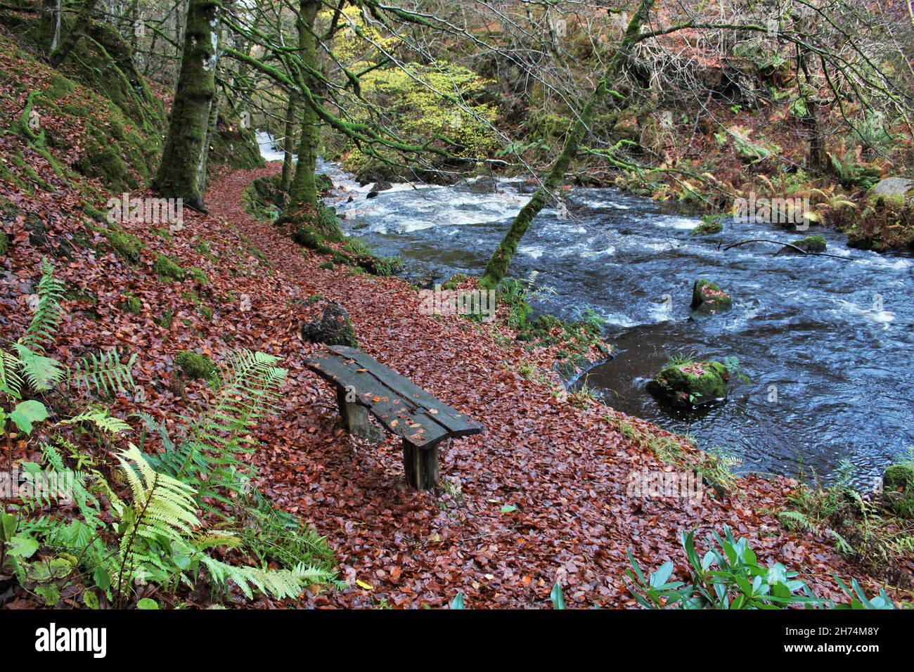 Craigengillan scotland hi-res stock photography and images - Alamy