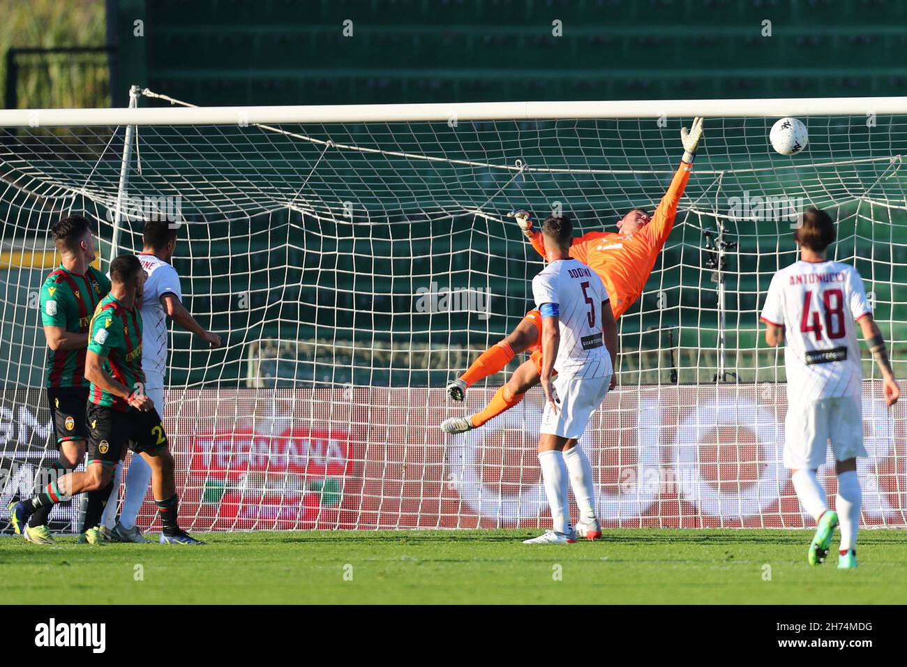 Partipilo hi-res stock photography and images - Alamy