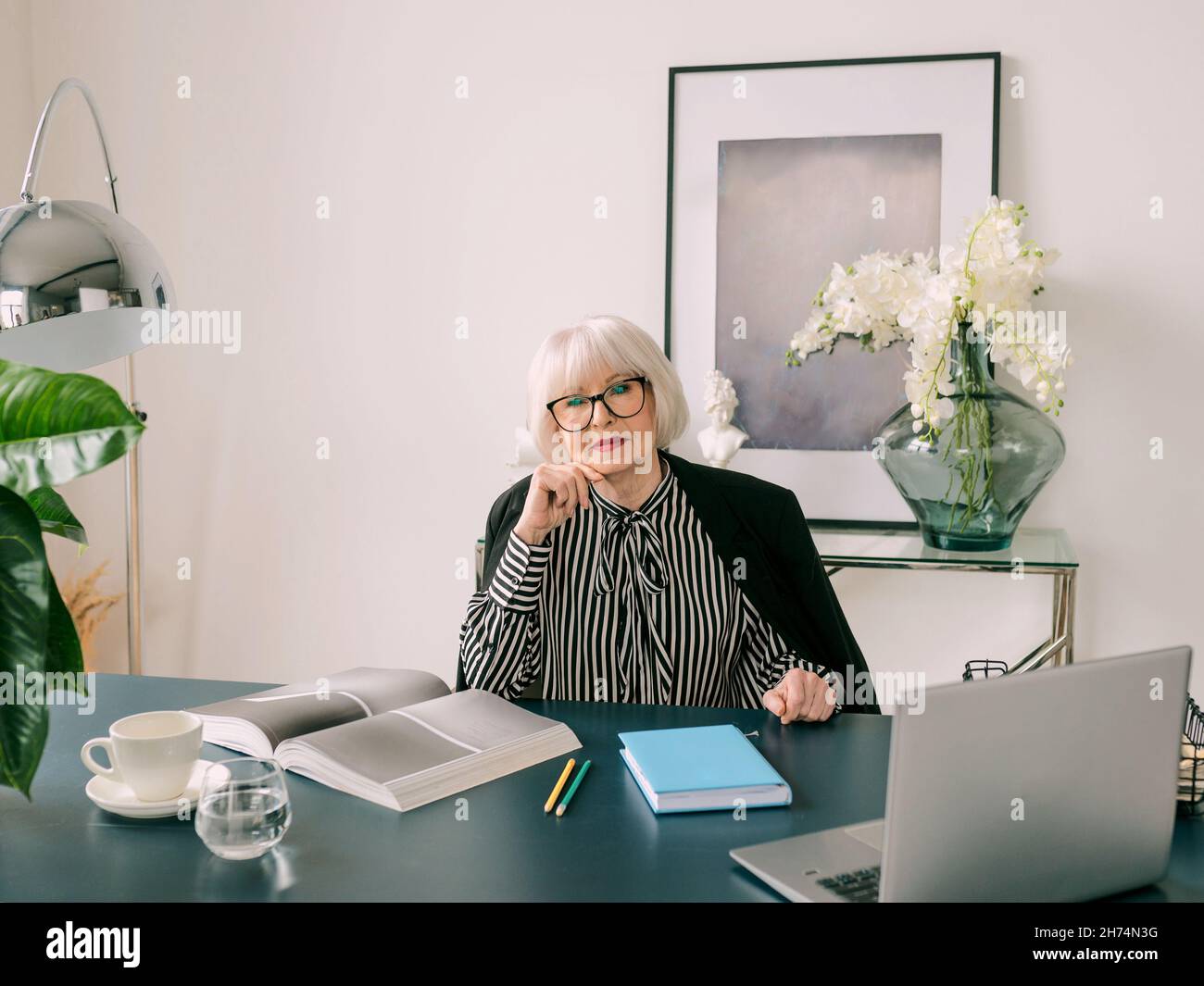 senior beautiful gray hair woman in her office. Work, senior people ...