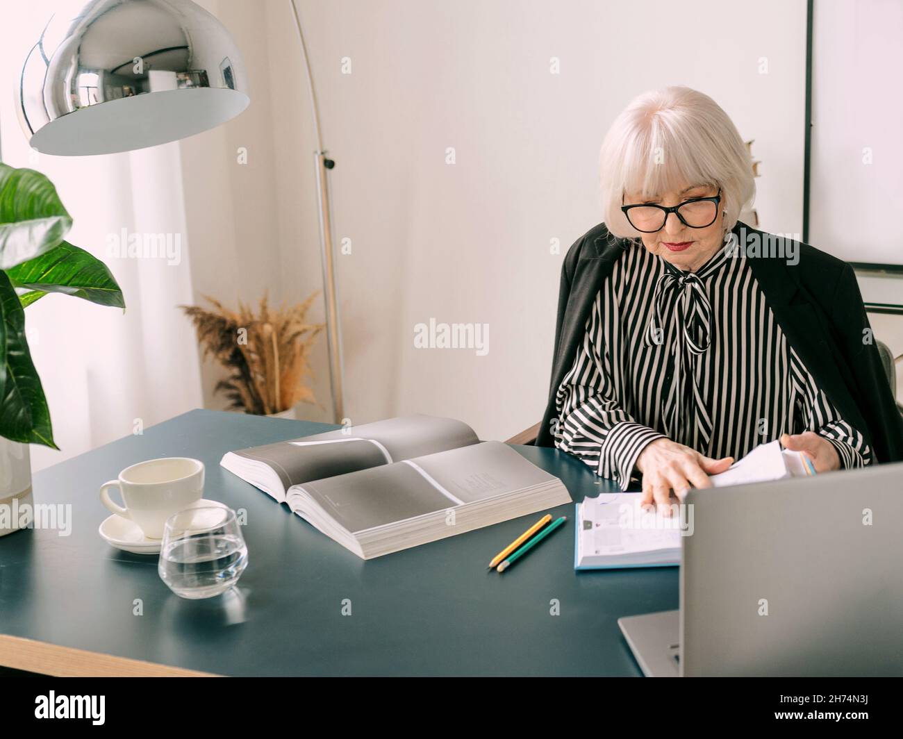 senior beautiful gray hair woman in her office. Work, senior people ...
