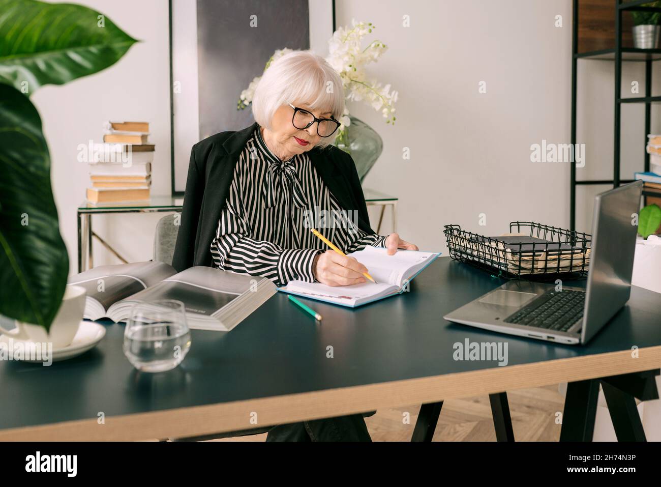 senior beautiful gray hair woman in her office. Work, senior people ...