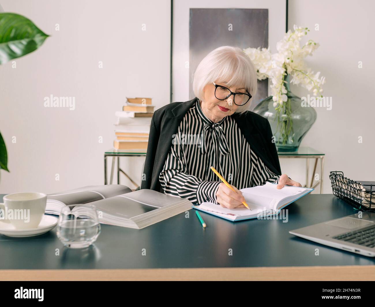 senior beautiful gray hair woman in her office. Work, senior people ...