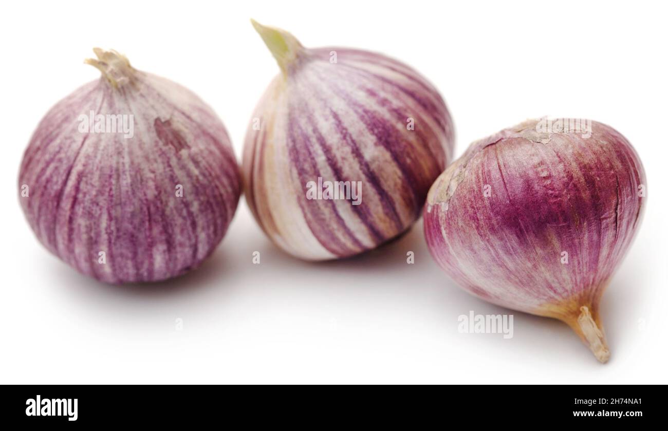 Solo or single clove garlic over white background Stock Photo - Alamy