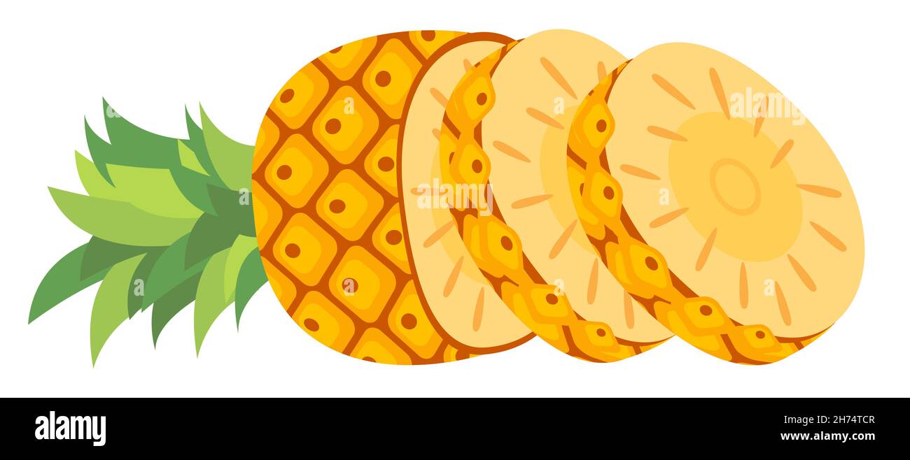 horizontal sliced fruit pineapple Stock Vector Image & Art - Alamy