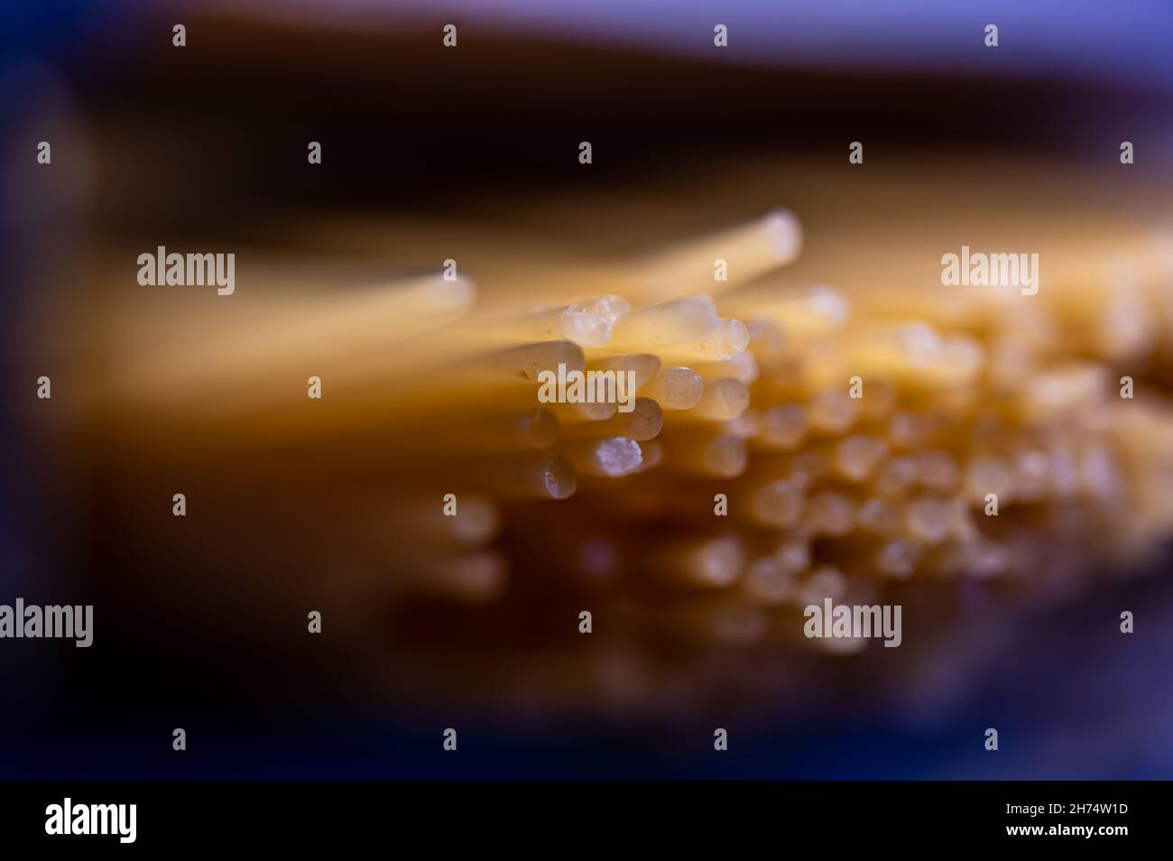 Macro end view of a grouping of spaghetti with dramatic lighting Stock ...