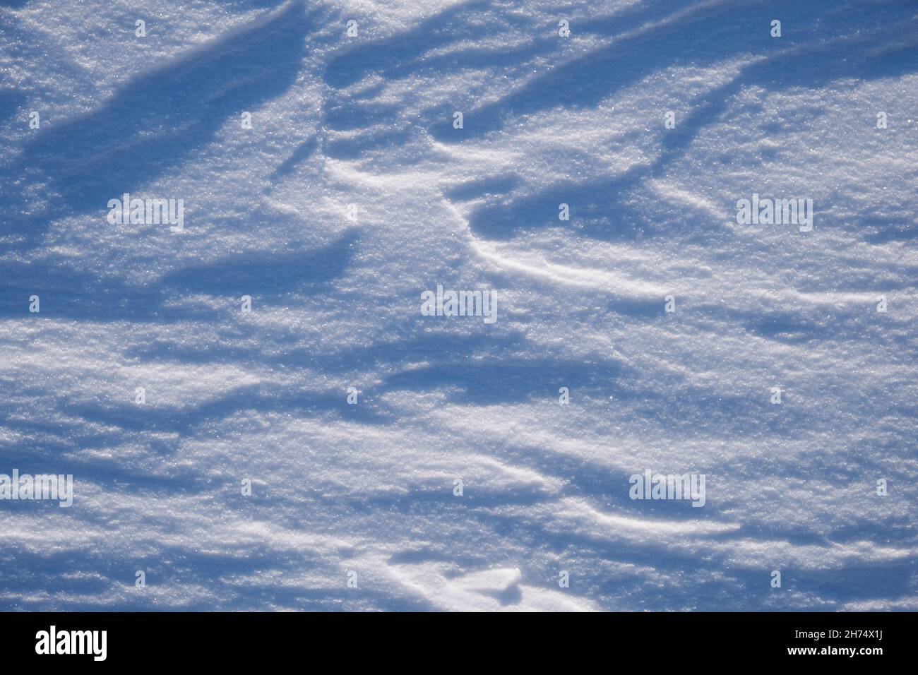 Texture of winter snow surface. Blue natural snow background with ...