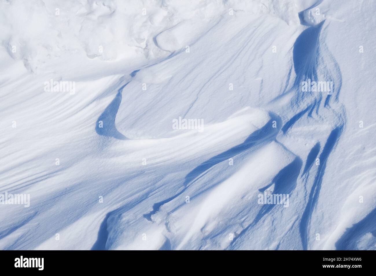 Texture of winter snow surface. Blue natural snow background with ...