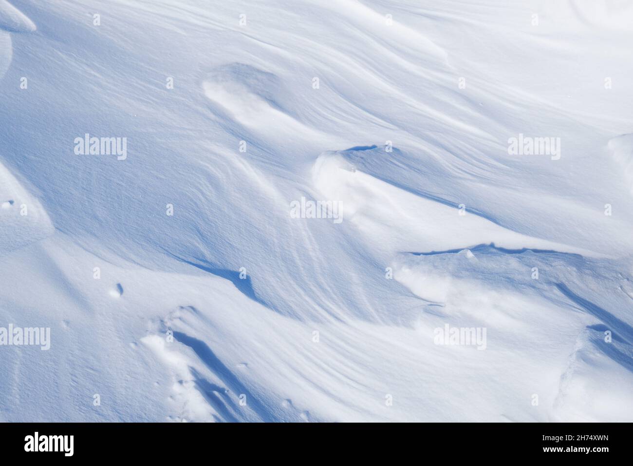 Texture of winter snow surface. Blue natural snow background with ...