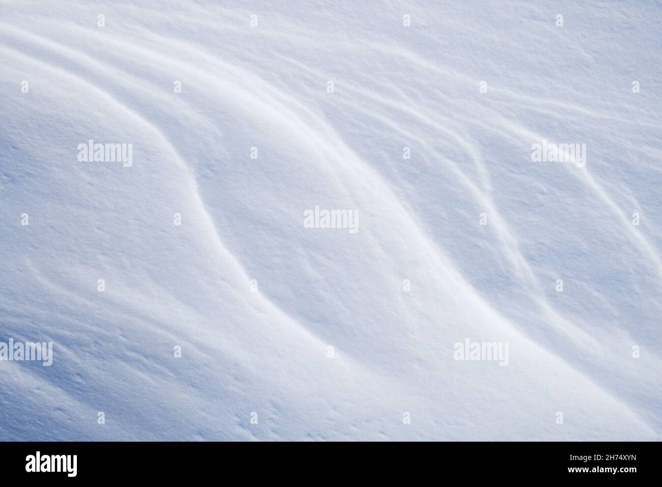Texture of winter snow surface. Blue natural snow background with ...
