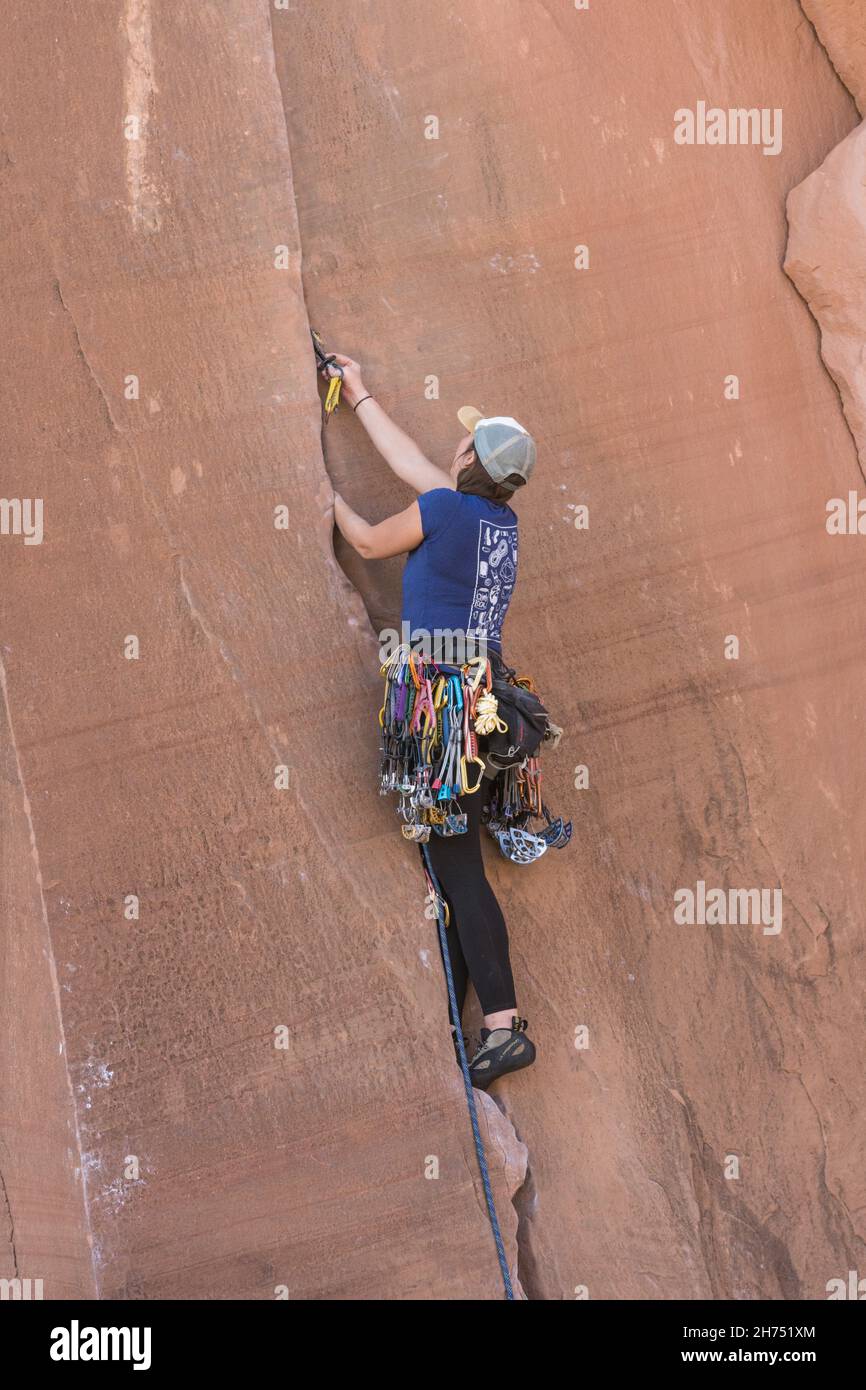 A lead climber places as cam in the crack she is climbing on Wall ...