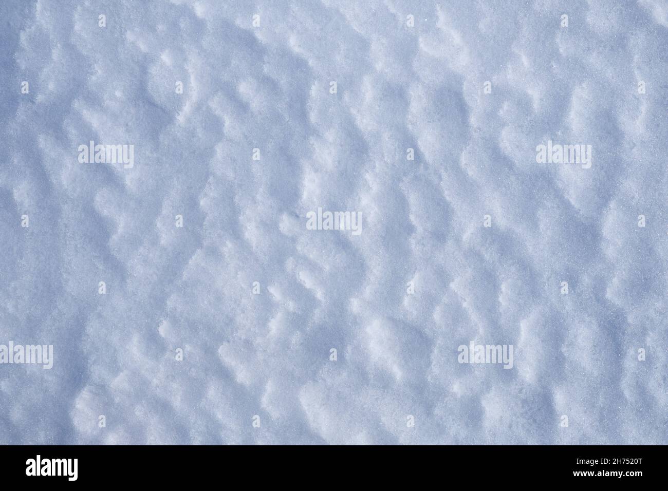 Texture of winter snow surface. Blue natural snow background with ...