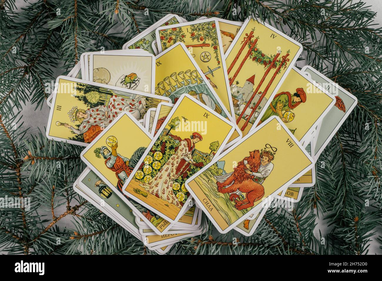 Tarot cards spread face up on white concrete surface with Christmas ...