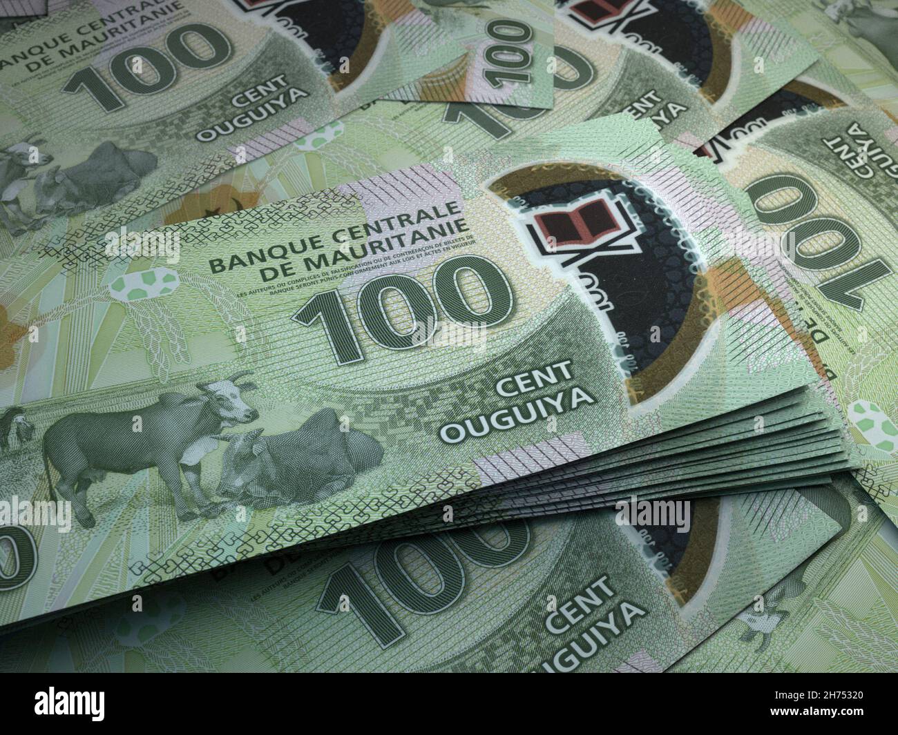 Money of Mauritania. Ouguiya bills. MRU banknotes. 100 Arabic. Business ...