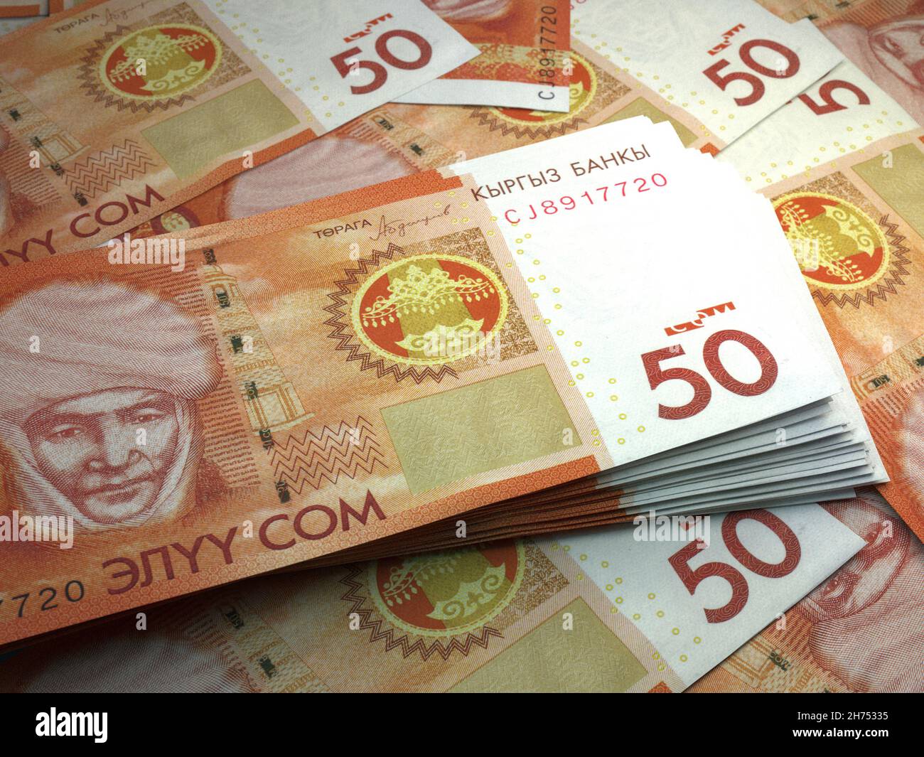 Money of Kyrgyzstan. Som bills. KGS banknotes. 50 Kirghiz. Business ...