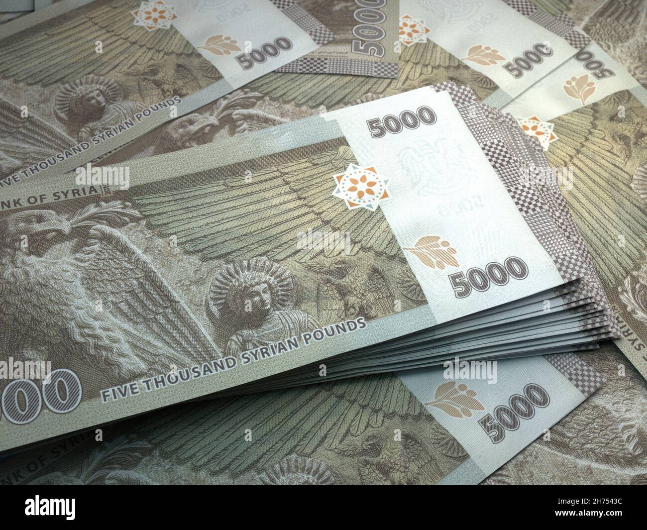 Money of Syria. Pound bills. SYP banknotes. 5000 Arabic. Business ...
