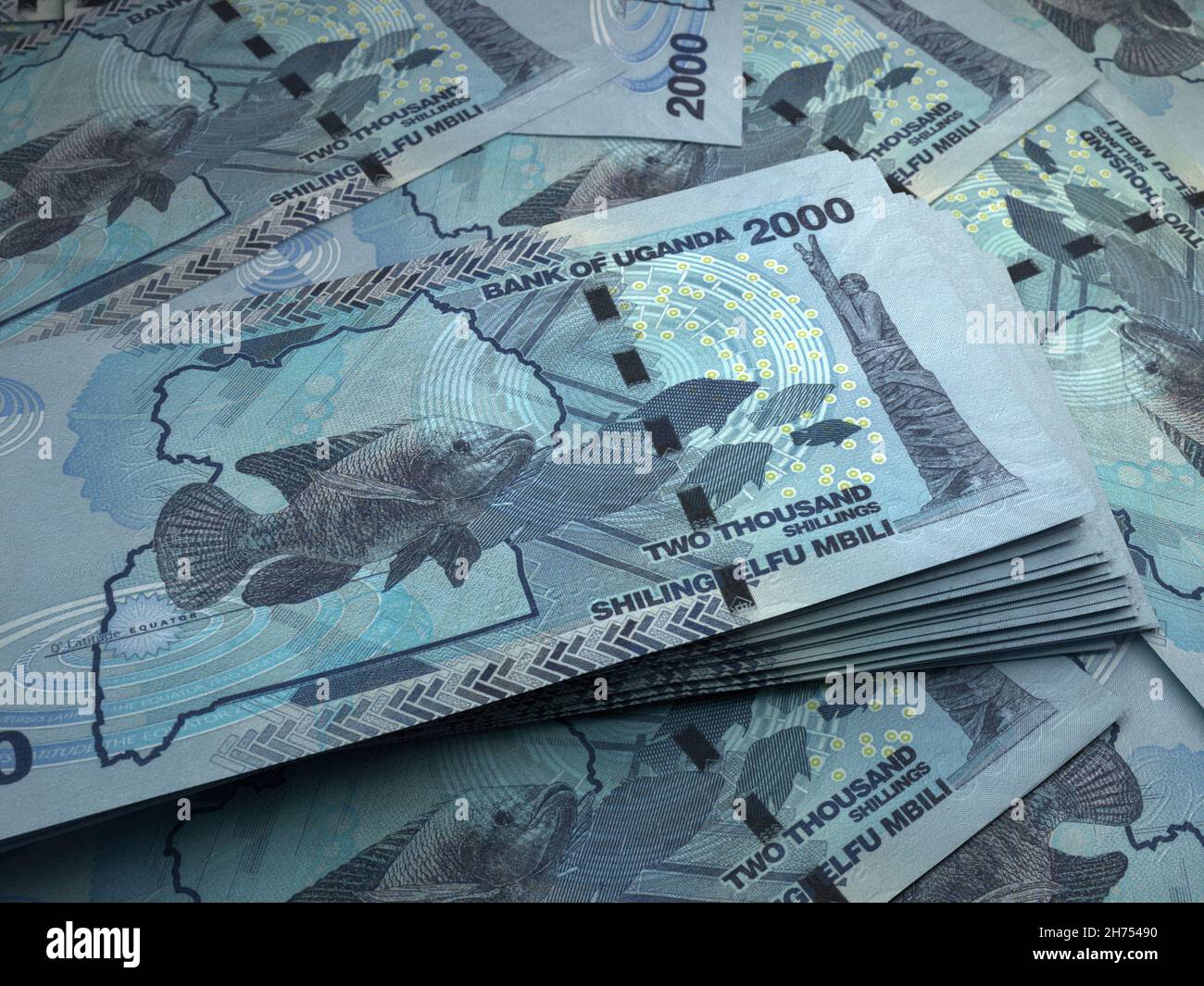 Money of Uganda. Shilling bills. UGX banknotes. 2000 Ganga. Business ...